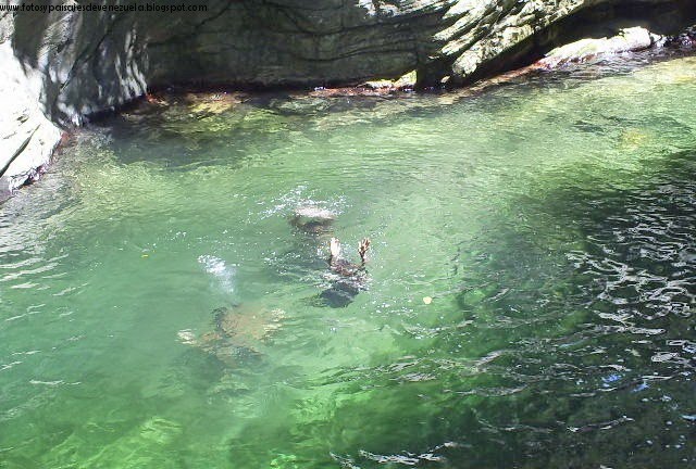 Río las Dos Puertas, Guayabal, Estado Miranda.