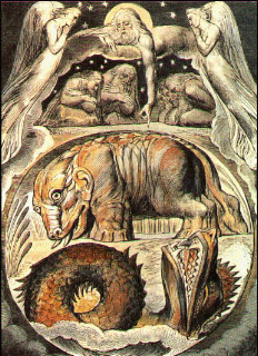 The Elusive Guanaco: Accusing God: Suffering, Scripture and the Book of Job