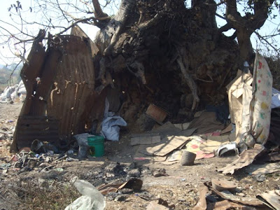 Lifetime: KASHOGI JUMA NA JUMA SHABANI VIJANA WAWILI WANAOSHINDA ...