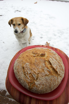 The Ginger Cook: Jim Lahey's No-Knead Bread