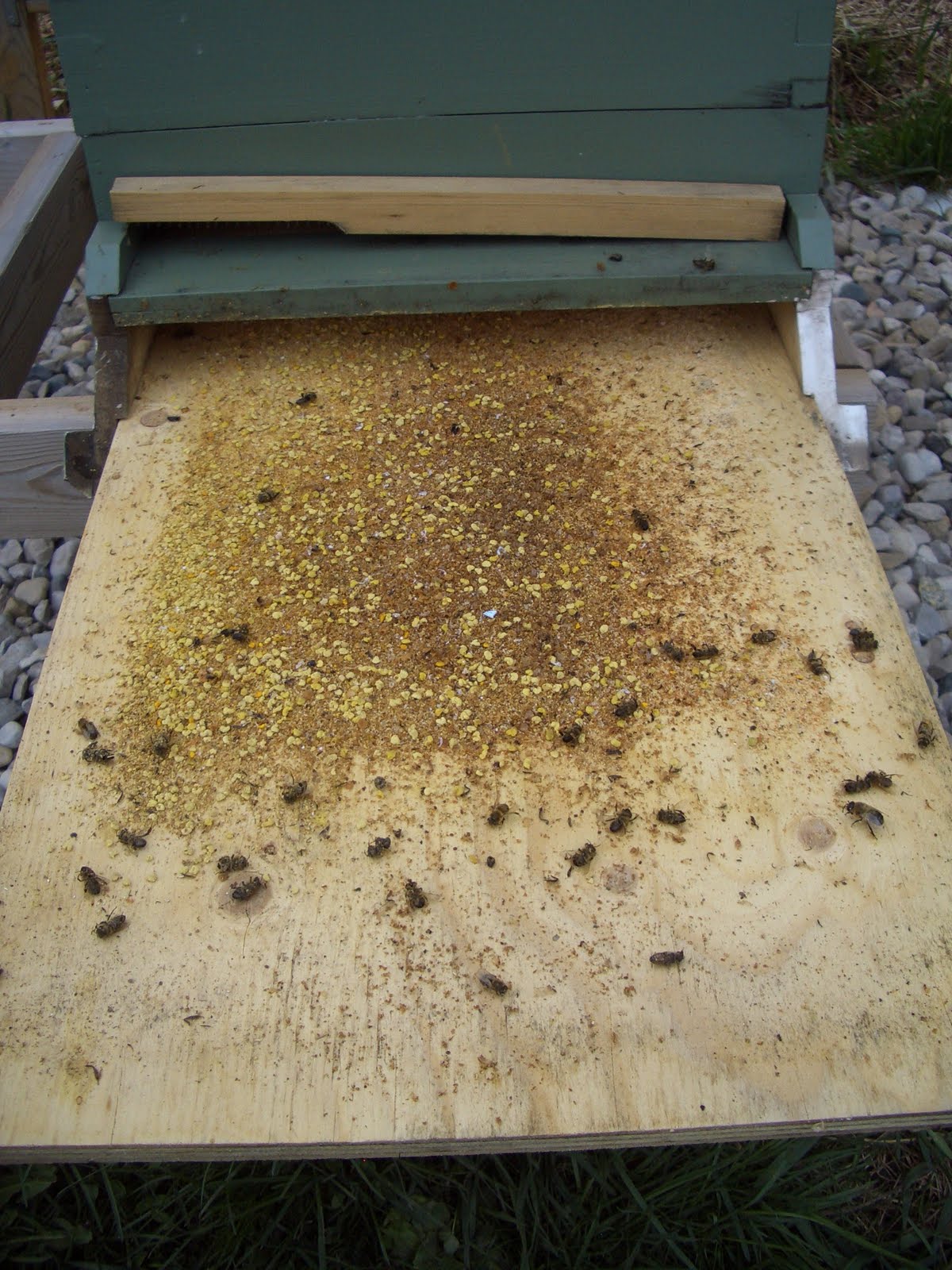 The Bee Cluster: Varroa Mite Count
