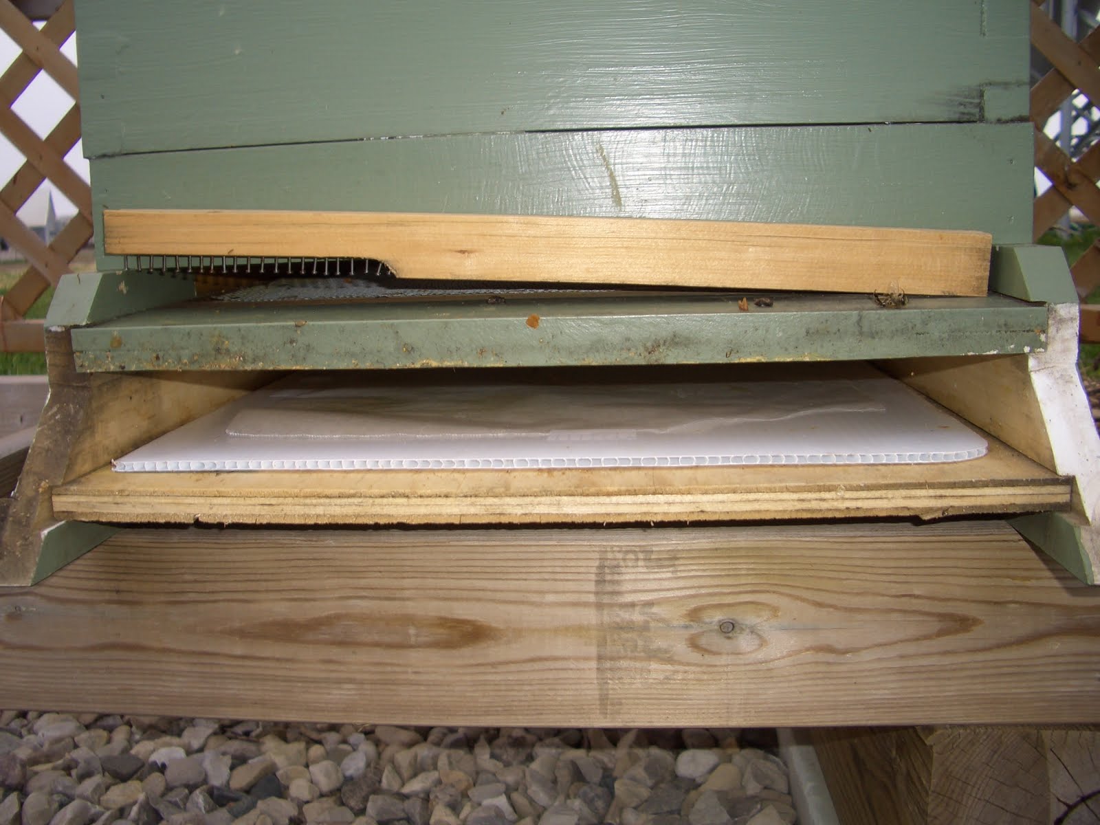 The Bee Cluster: Varroa Mite Count