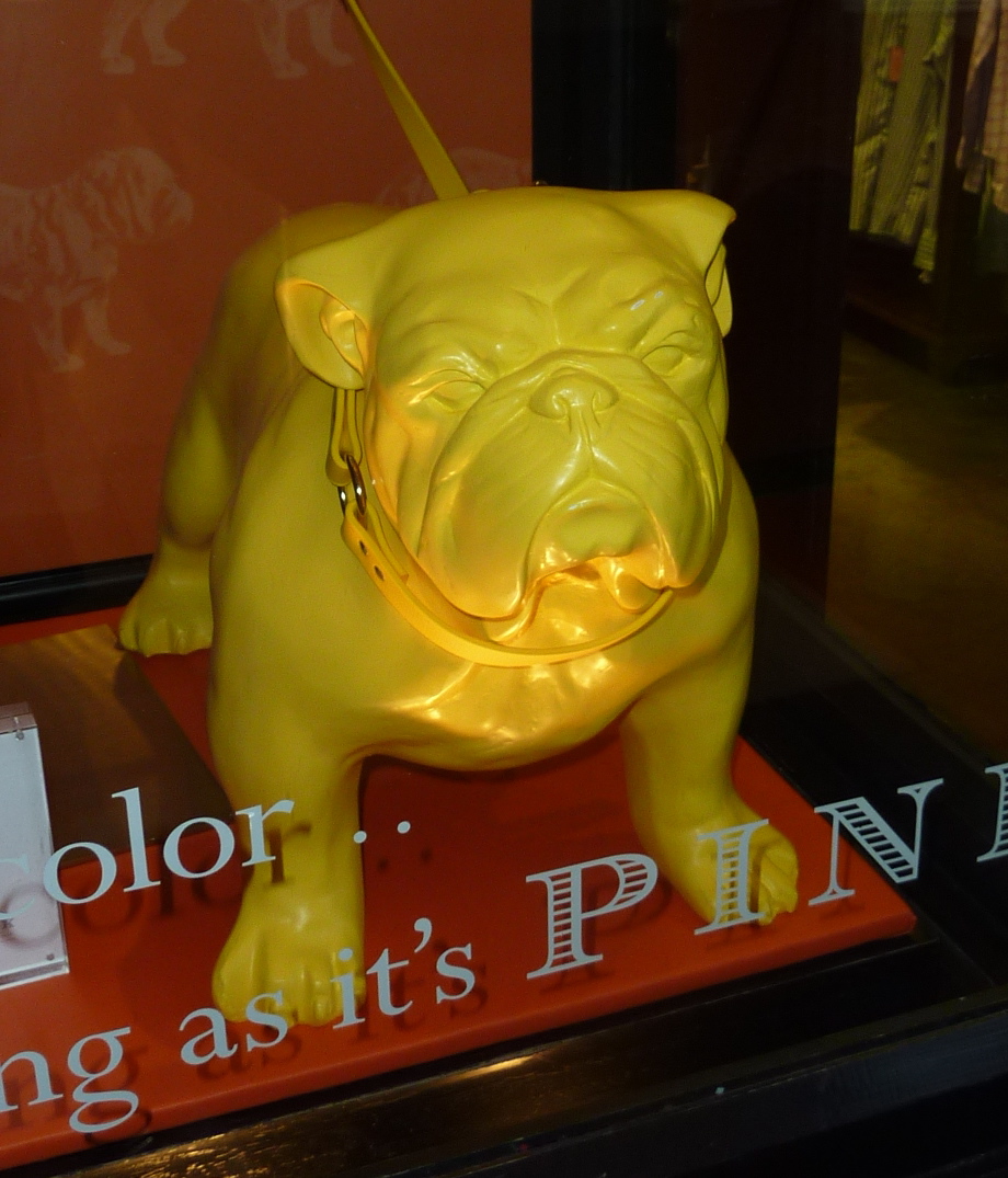 Sale Therapy: Thomas Pink: The Yellow Bulldog In The Window Display
