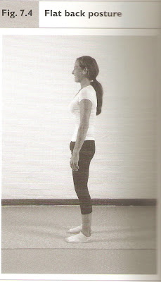 PRO humanperformance: Identifying of posture types
