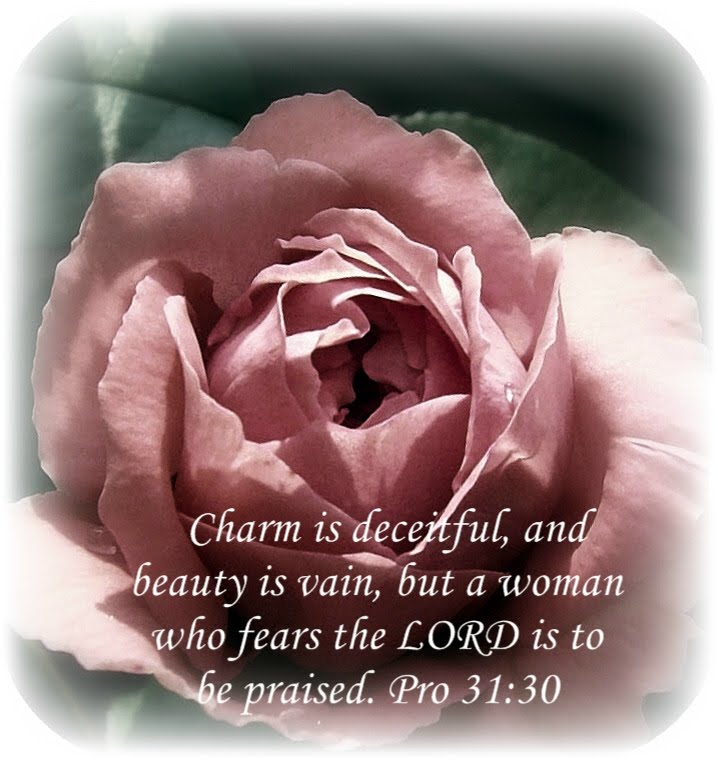 A Price Above Rubies Proverbs 31