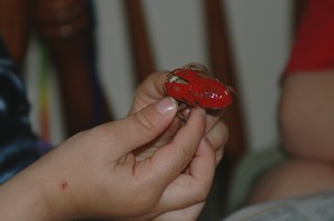 Upon A Hill: Cicada Shell Craft