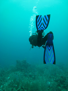 The Atlantis Diver: What type of FINS should you buy?