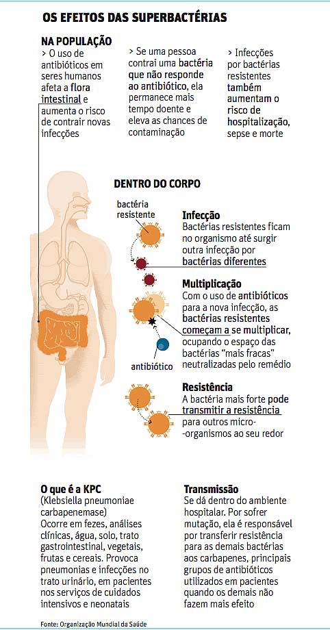 EXCITE (Explanação Científica e Tecnológica): Bactéria: Klebsiella ...