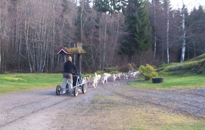 Dan Sadowski in Norway: Dog mushers' cabin weekend trip