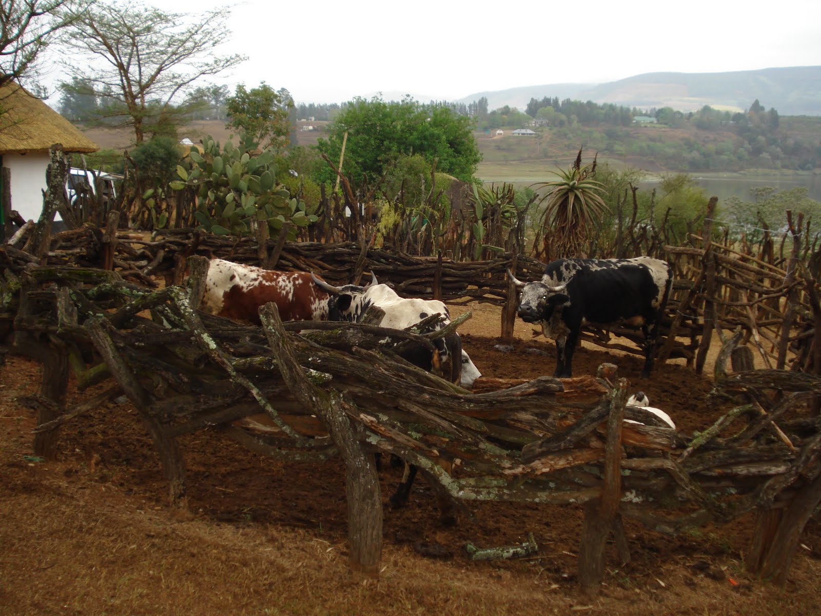 eCabazini the Zulu Village | Jo & Adam 'n S. Africa