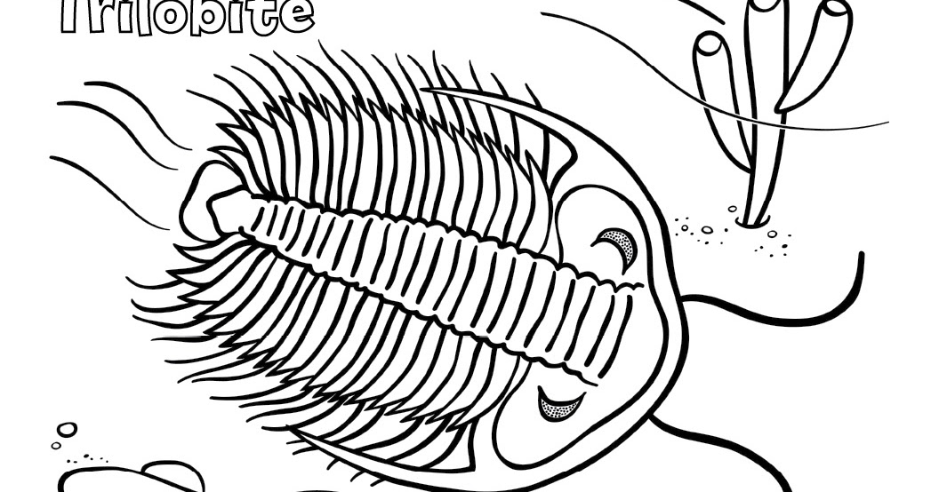 Loreen Leedy Books + More: Free trilobite coloring page!