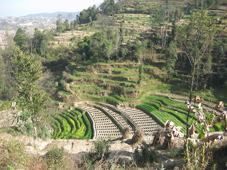 Enlightenment: Finding Myself in Nepal: Banepa: Week 1