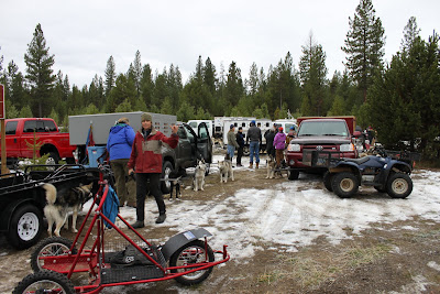 BrownStone Chinooks: Mushing Weekend