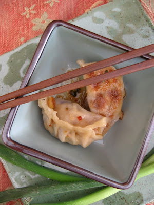 Foodwanderings: Fantasy came true - Chinese Dumplings