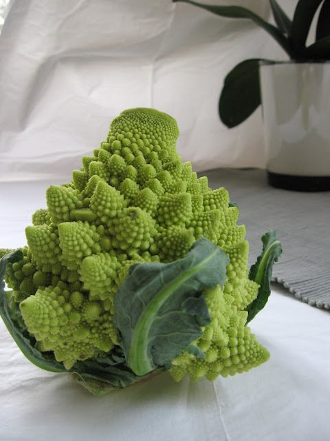 Foodwanderings: Romanesco Floret Fritters in Beer and Honey Batter
