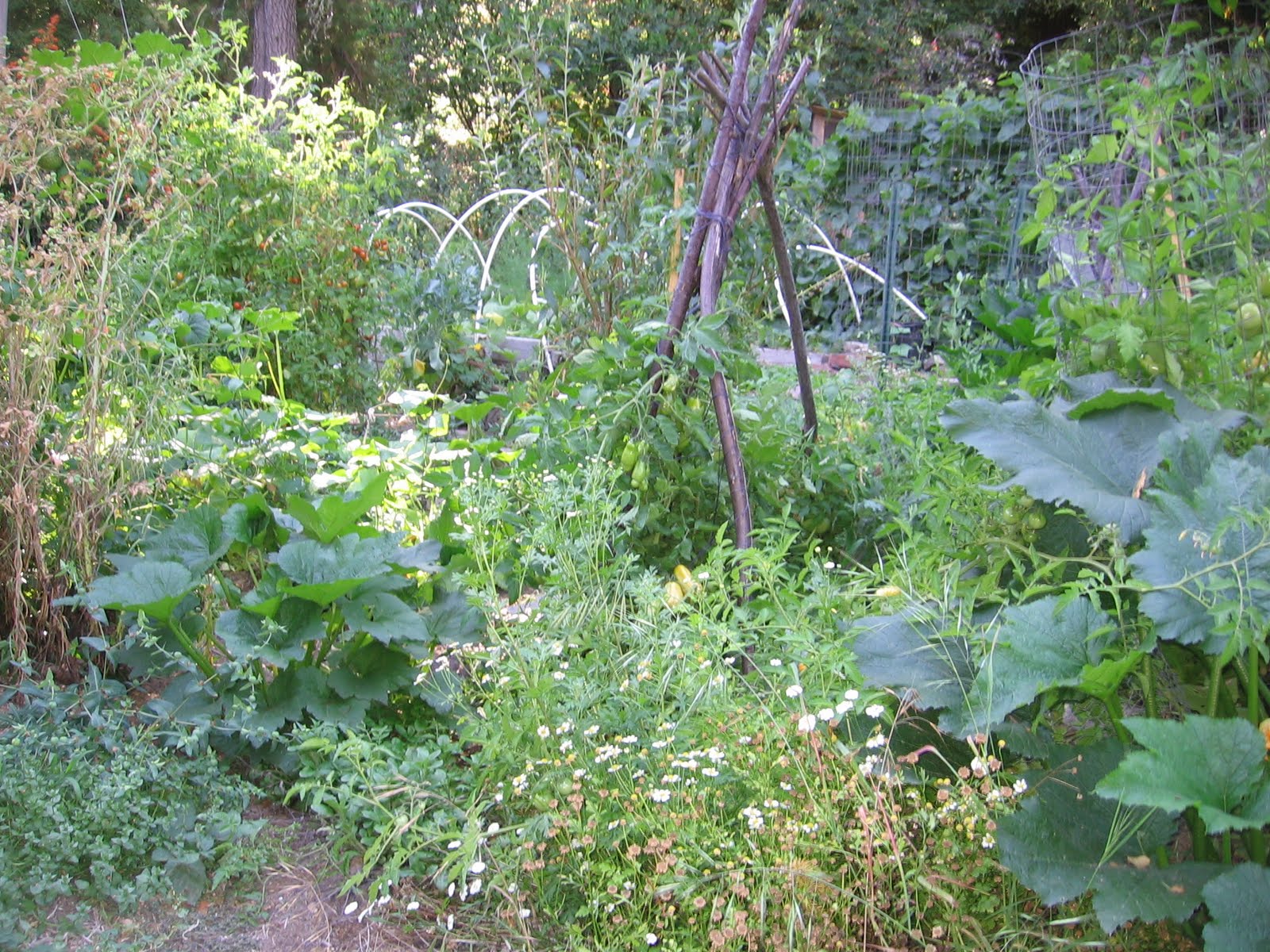 *my faery garden*: messy garden goodness