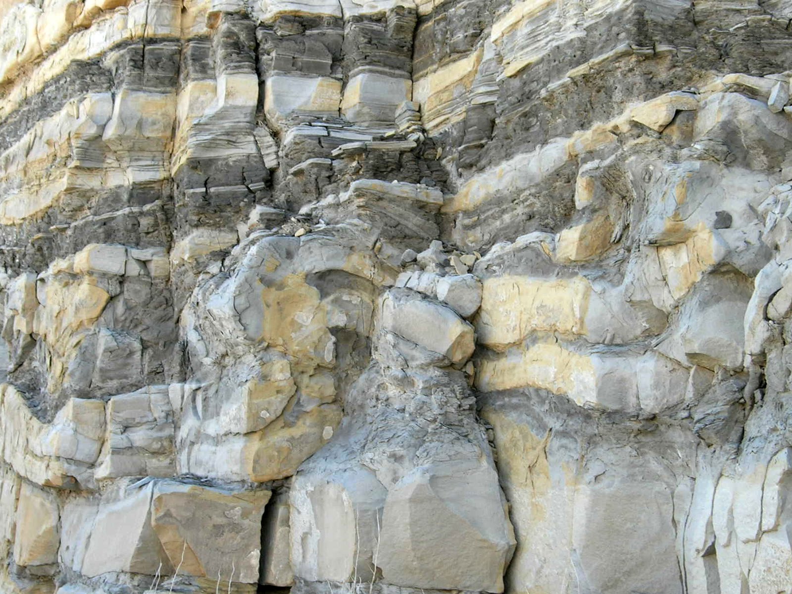 Source Rocks: Sedimentary Rocks