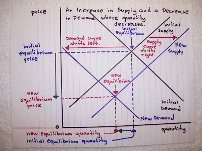 Economic Perspectives: An Increase in Supply & a Decrease in Demand