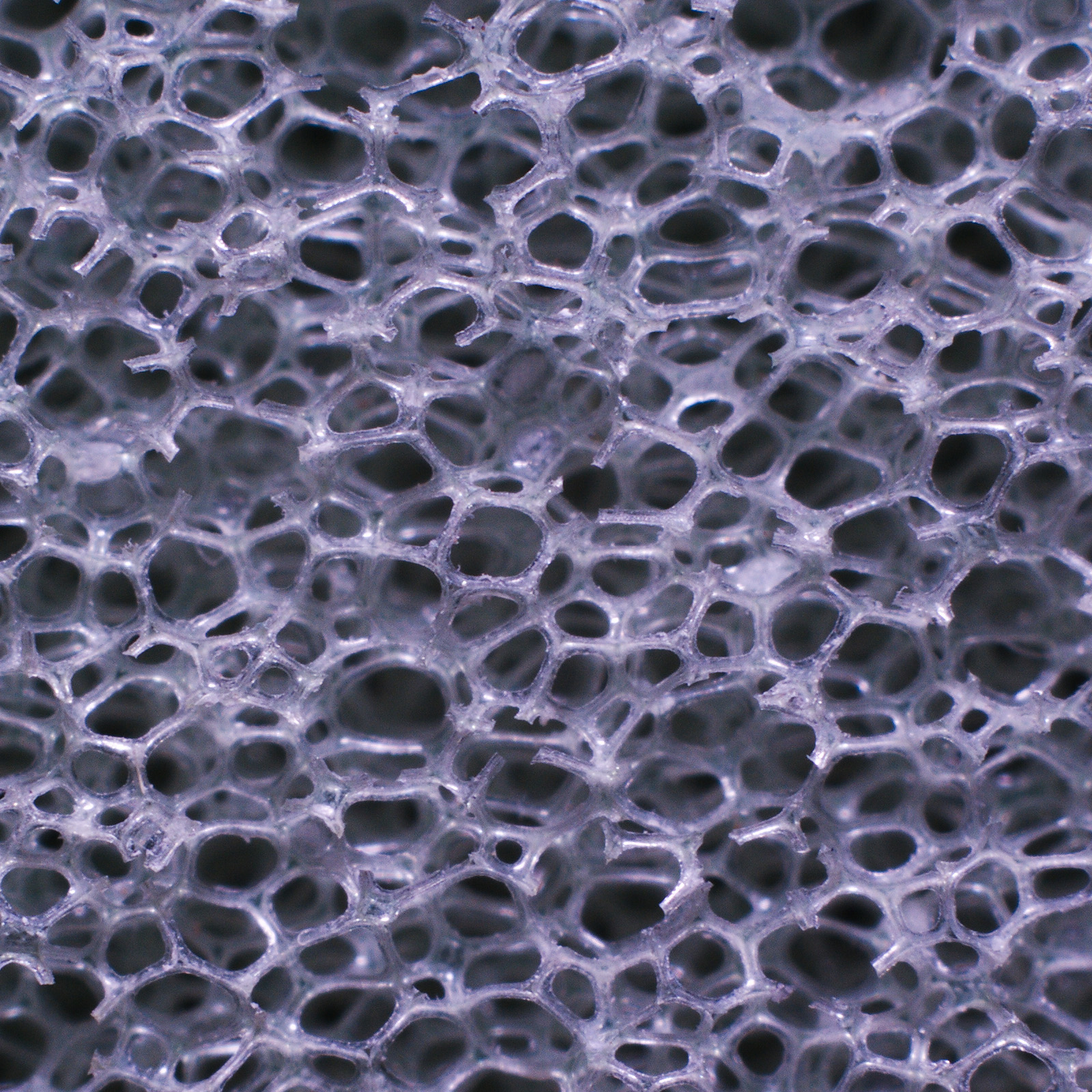 Madly Tinkering: 352: Sponge Foam Structure