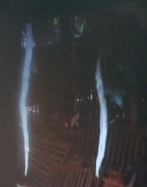 Buah Pare dan Manfaatnya - Welcome to my kitchen