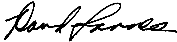 Diary of David Richard Sannes