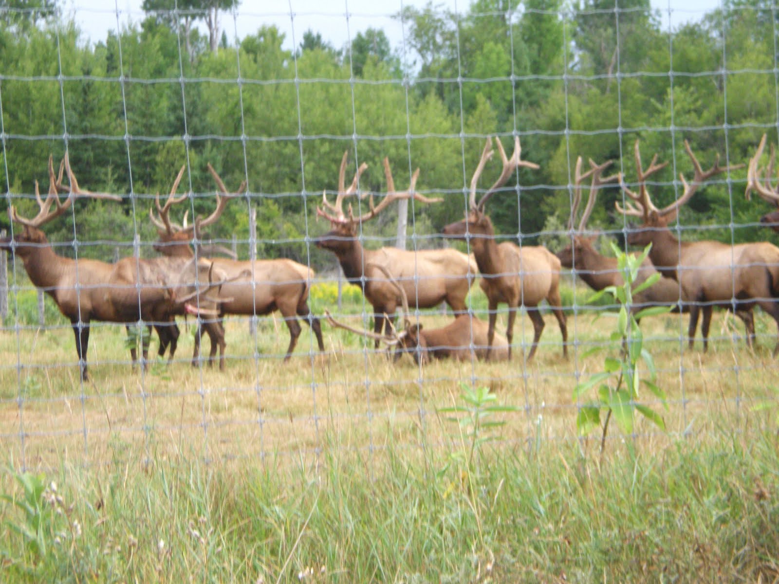 Spokes Across America 2010