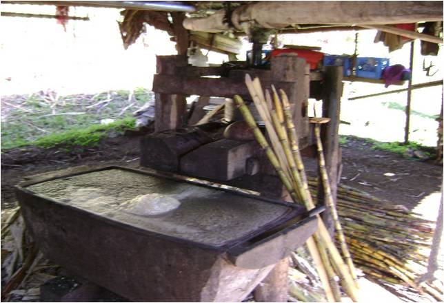 GALERÍA GEOGRÁFICA: Panela Artesanal en el Banco de Palmira, Distrito ...