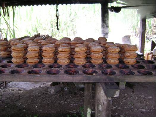GALERÍA GEOGRÁFICA: Panela Artesanal en el Banco de Palmira, Distrito ...