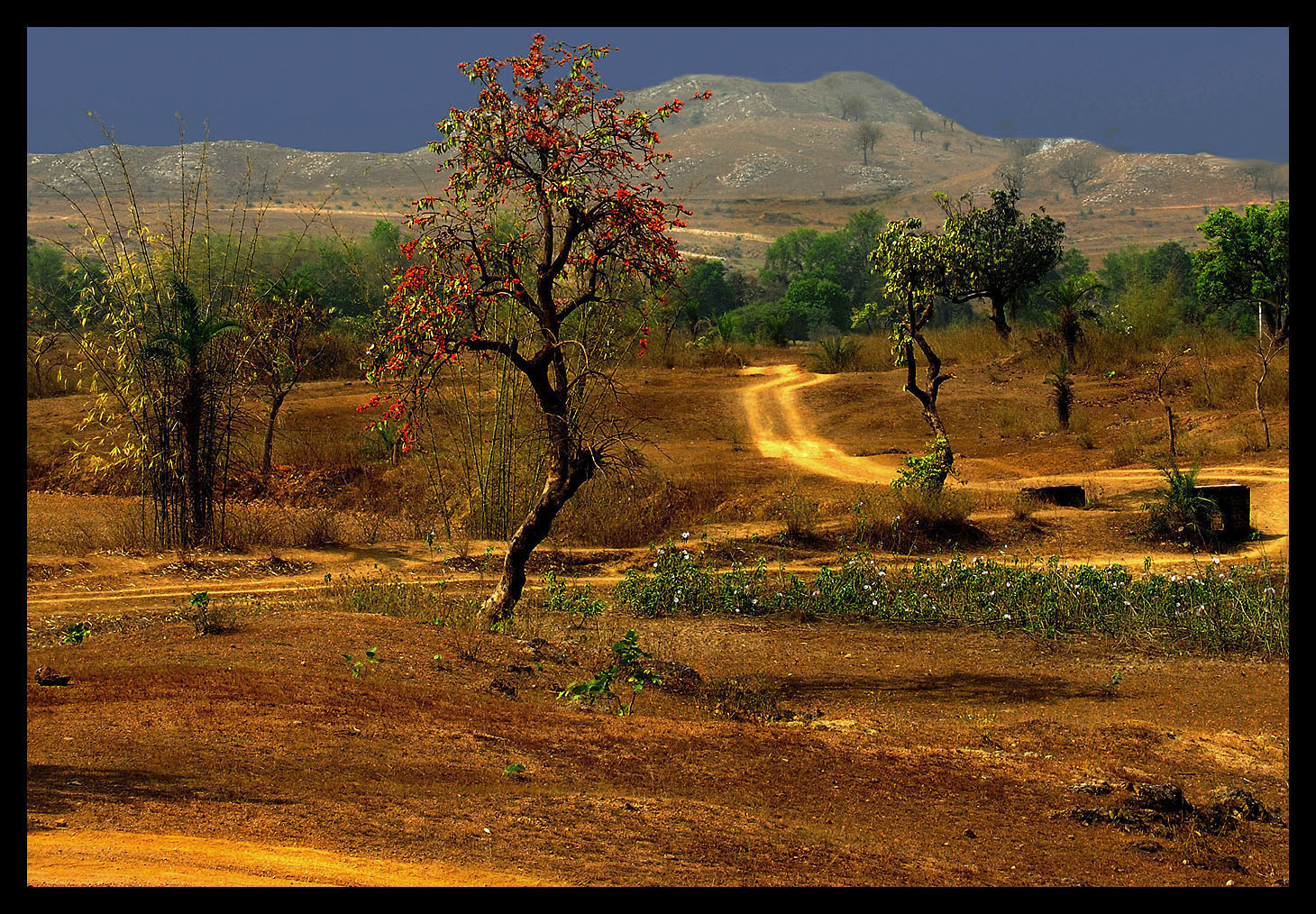 SIMULTALA - Holiday Home ~ WWW.TRAVELREJOICE.COM