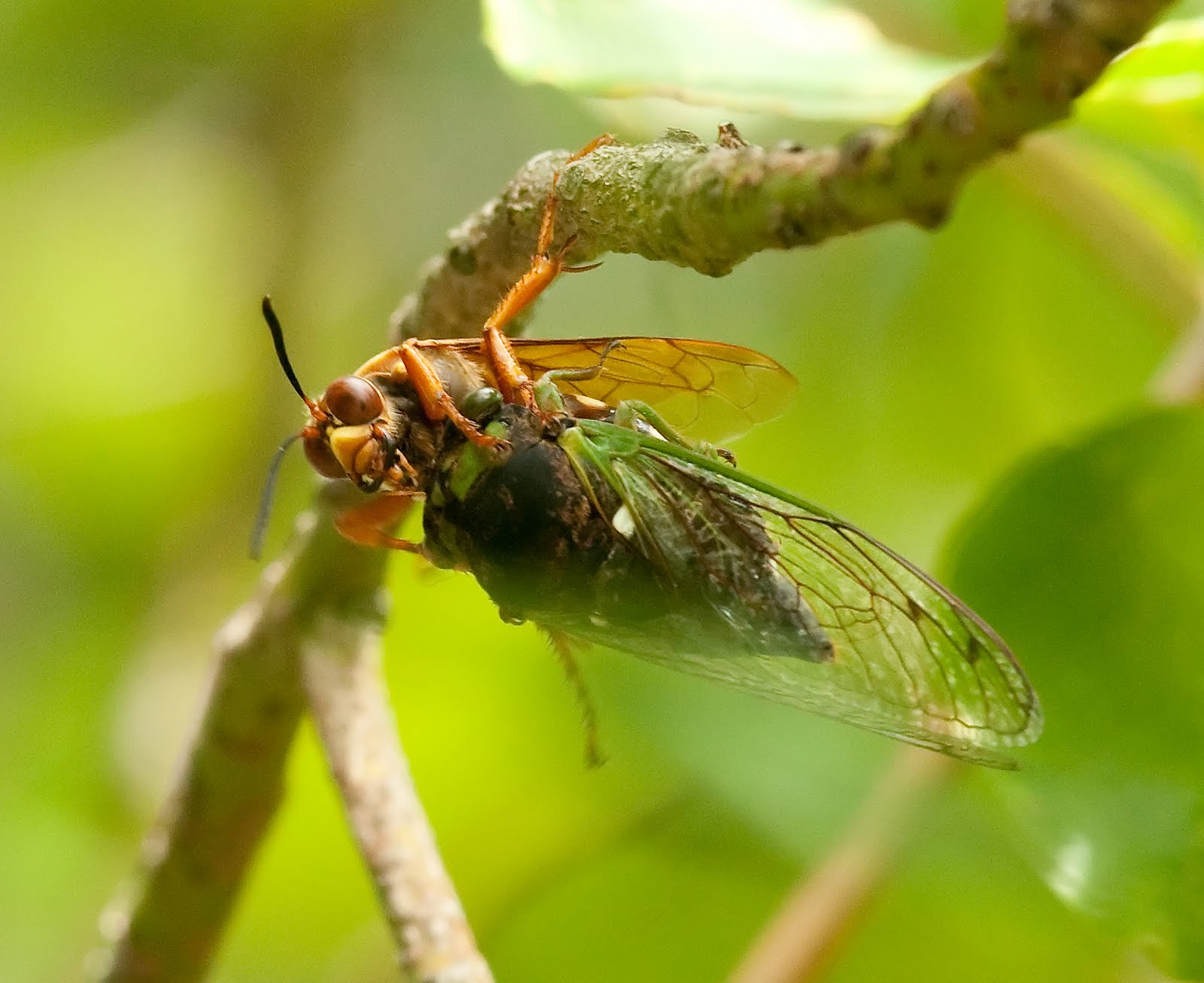 Zen Through a Lens: Color Me Beautiful