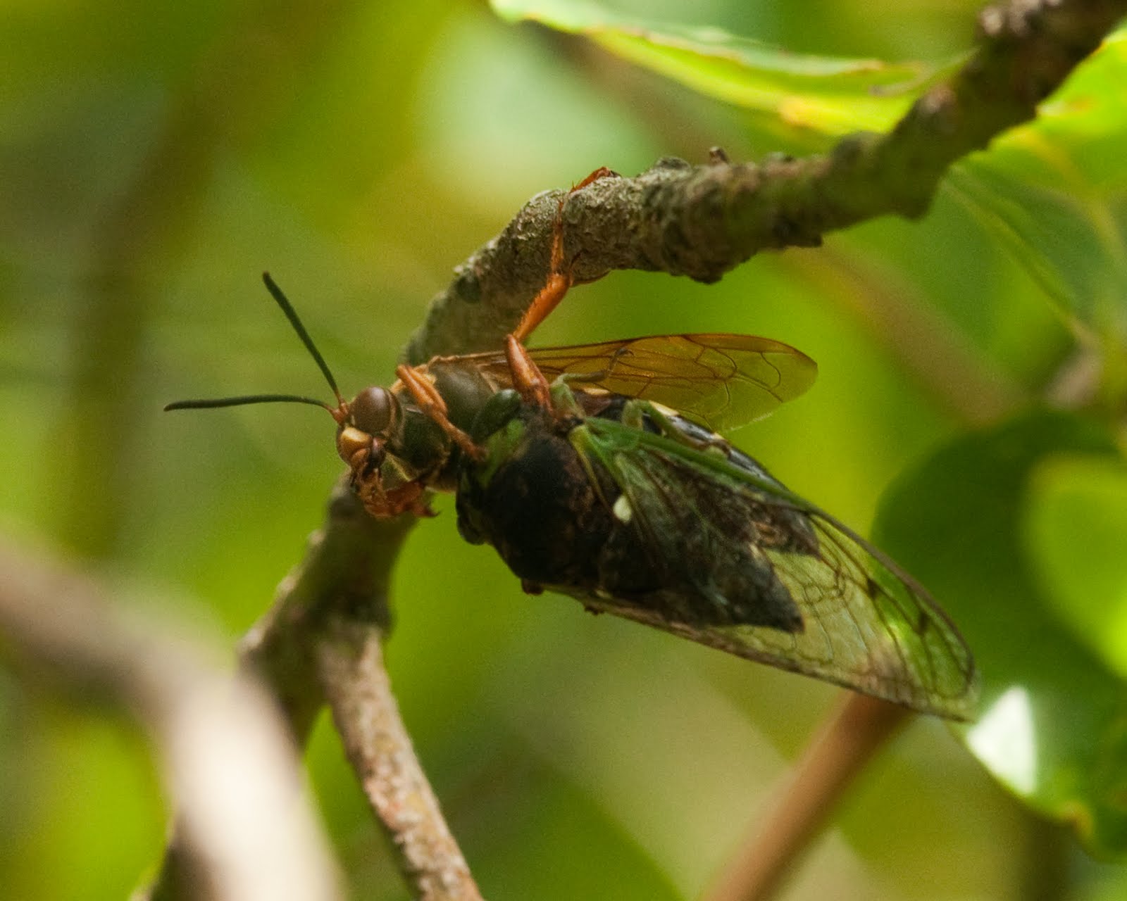 Zen Through a Lens: Color Me Beautiful
