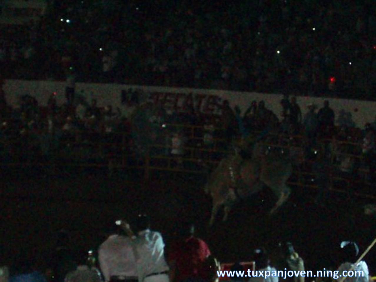 FERIA TUXPAN 2019: JARIPEO TORO EL CATRIN FERIA TUXPAN 2010 - 16 DE ...
