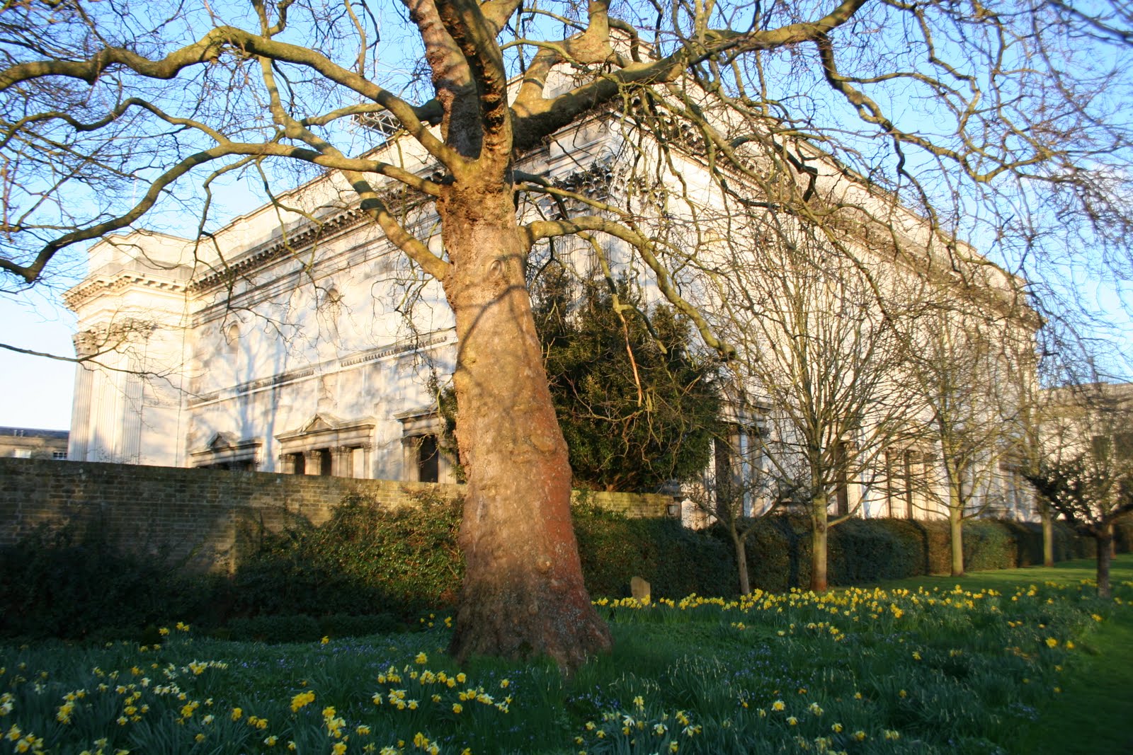 A Cantabrigian Life: Easter in Cambridge, Thanksgiving in Easter