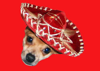 Angry Puppet: The Apex of Hilarity