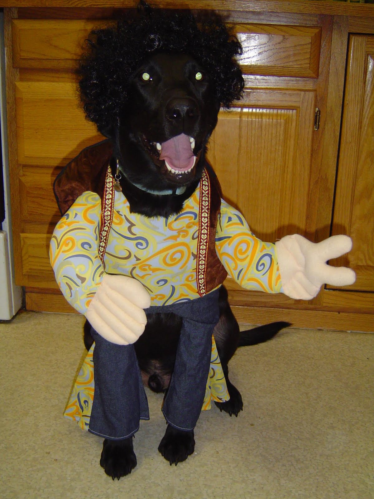 Akutan - Village life on the Rock!: Pix of my black lab Tug, Happy 4th ...