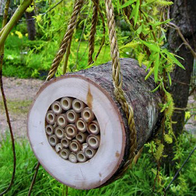 Full-flavoured logbogblog: Hey, I've got a great idea. Let's play make ...