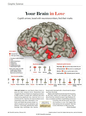 Because we love men: Your brain in love
