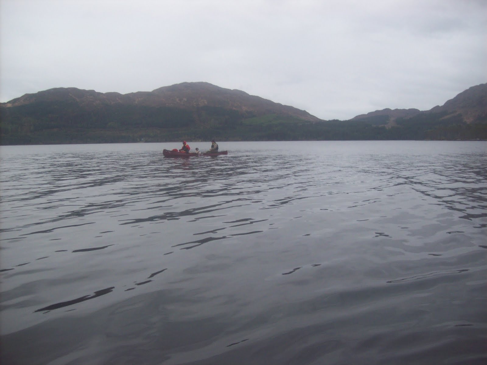 Pike fishing in Scotland.: Loch Maree, no tics, no beasties and one ...