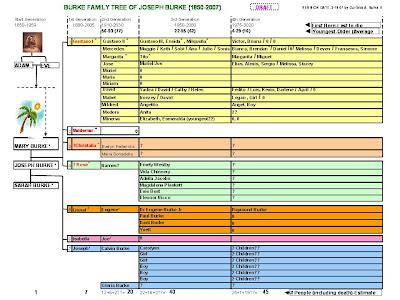 BURKE FAMILY NEWS: BURKE FAMILY TREE