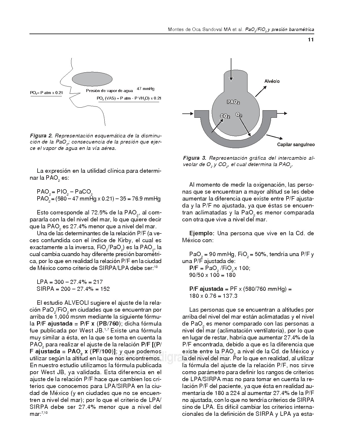 Laboratorio deTerapia Intensiva: Ajuste de la relación PaO2/FiO2