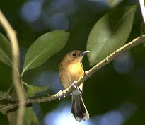 Our Family's Journey (Beyond Sound Finances): Travel to Tinian - A ...