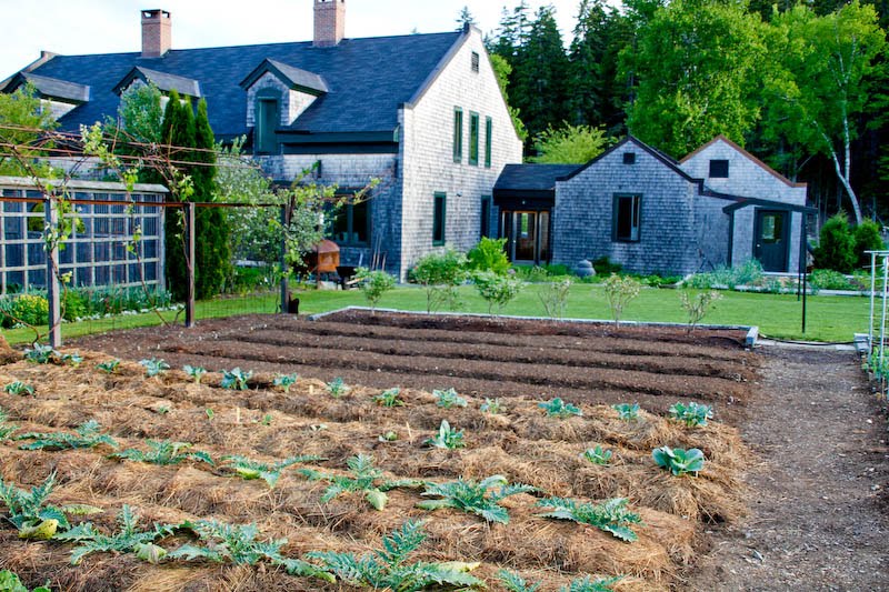Growing the Growers Filming Trip: The Kitchen and Flower Garden