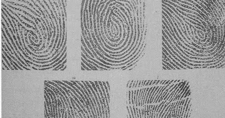 Data Deluge: Francis Galtons Fingerprints 1892