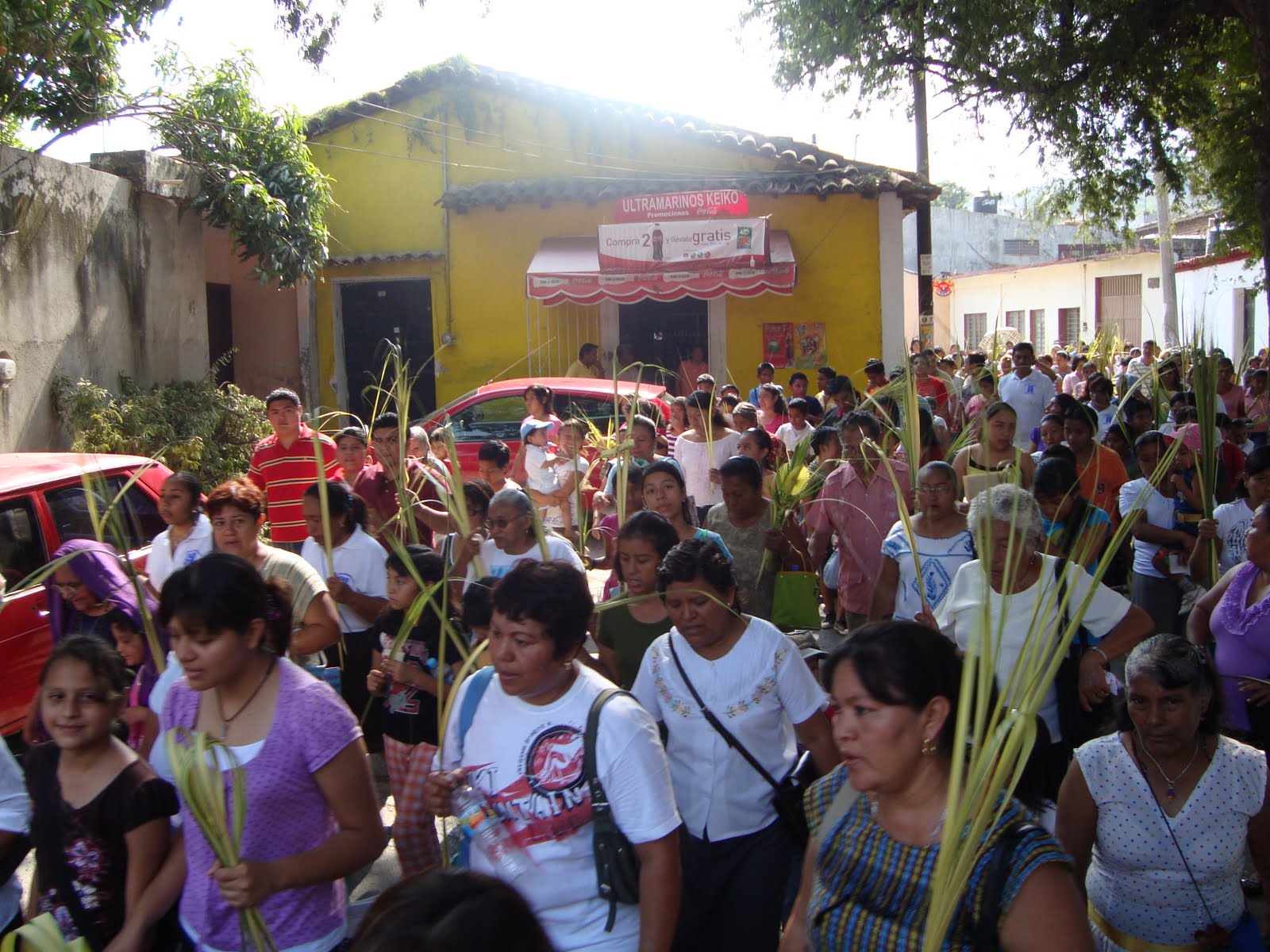 INFORMAR PARA EVANGELIZAR: PUEBLO CATOLICO CELEBRA DOMINGO DE RAMOS EN TEHUANTEPEC 2010