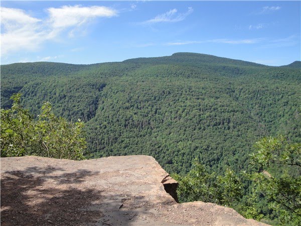 Gone Hikin': North-South Lake/Escarpment Trail, Catskill Forest ...