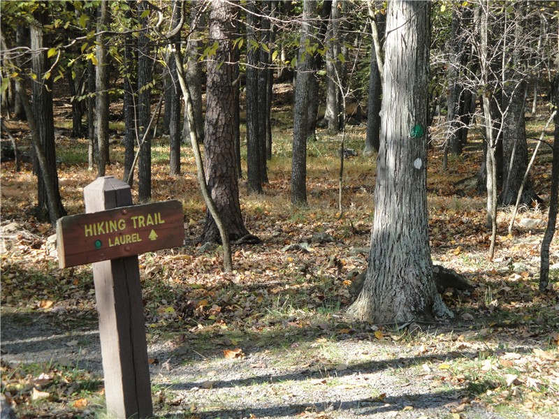Gone Hikin': Cacapon State Park, WV