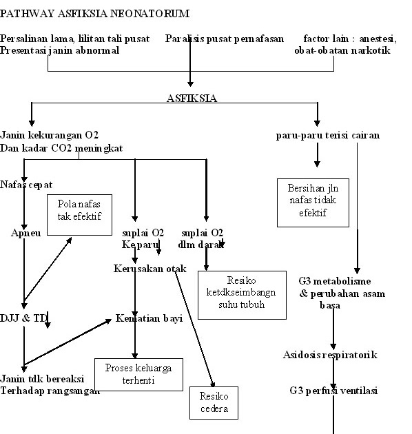 PATHWAY ASFIKSIA NEONATORUM