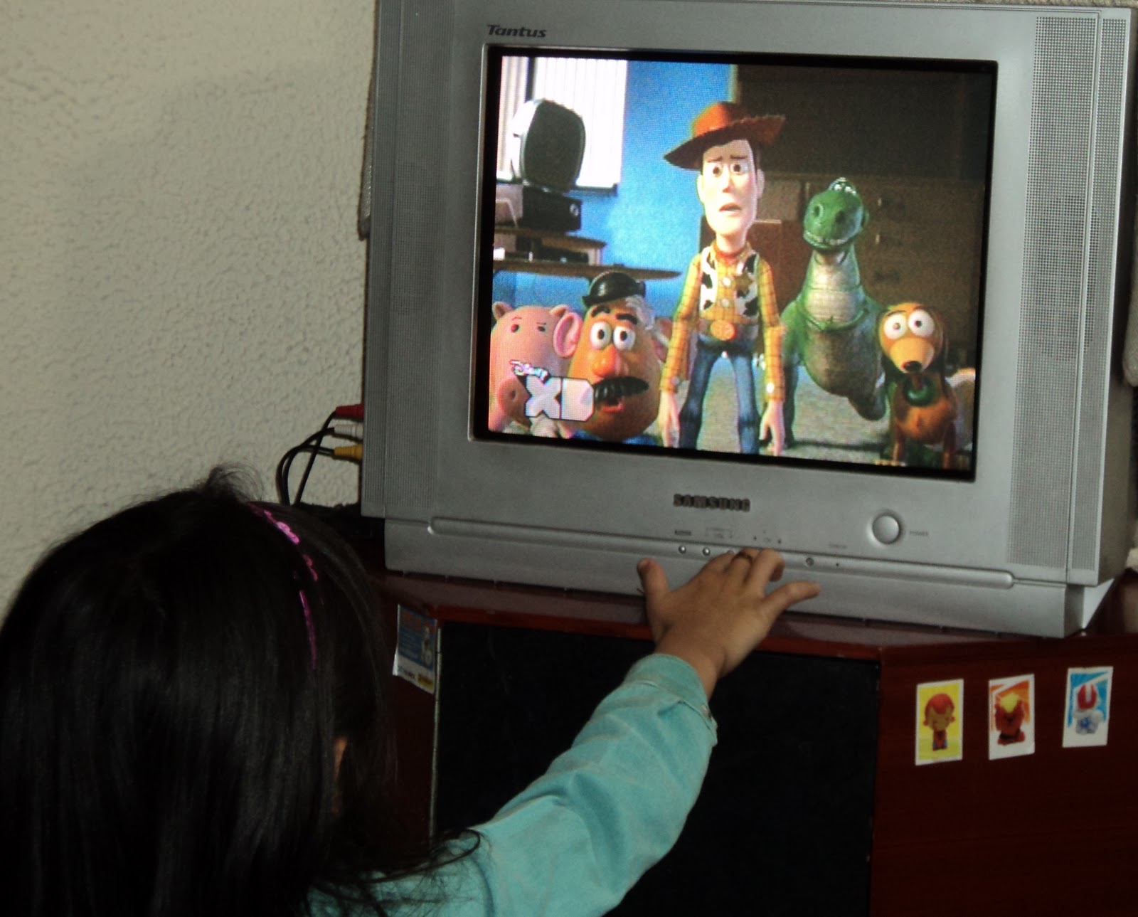 EN RED TV: La televisión