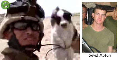 Animal Voice: US Marine Throws Puppy off a Cliff