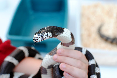 +The Church Cook: October 2010